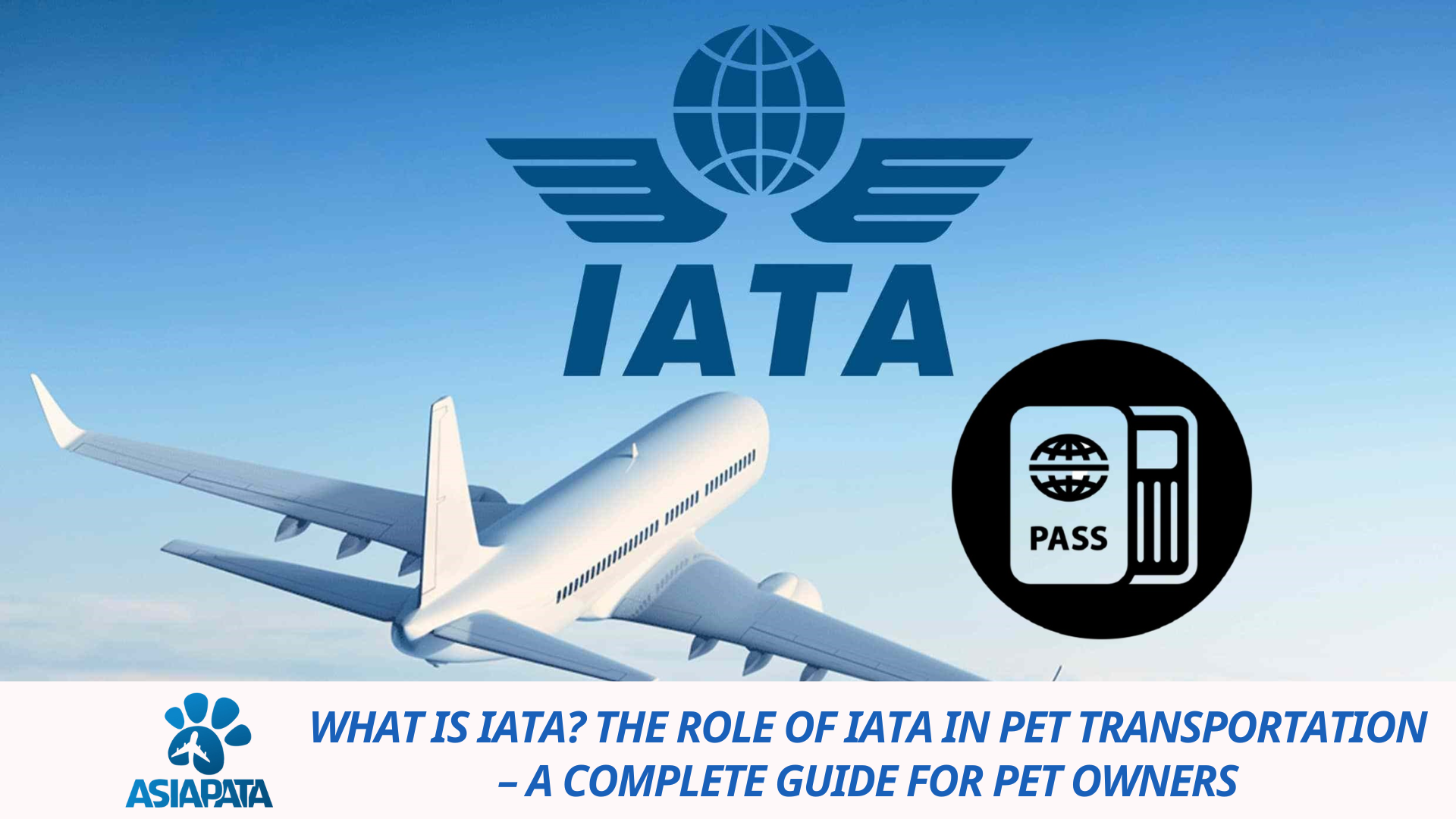 What is IATA? The Role of IATA in Pet Transportation – A Complete Guide ...